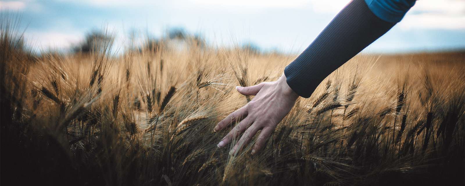 How the Ag Job Market Is Changing — and What It Means for Candidates ...
